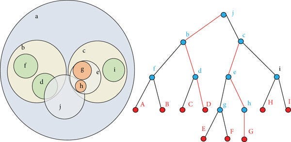 Kd -Tree and Ball Tree Algorithms