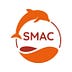 Smartchem - Medium