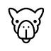 BGPKIT – Medium