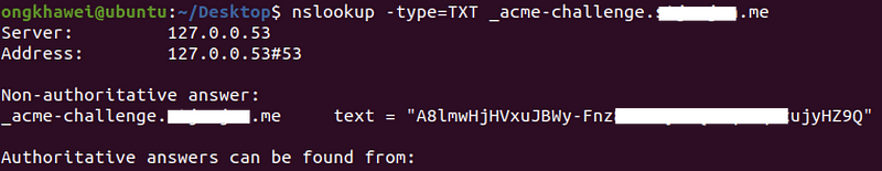 Generate Lets Encrypt Certificate With Dns Challenge And Namecheap 