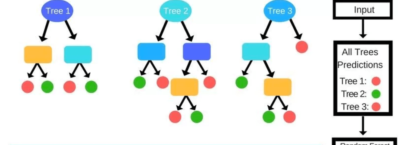 Random Forest – The Startup – Medium