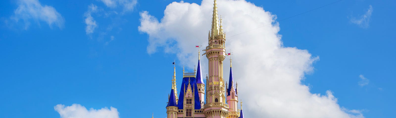 Disney World – Castles in America – Medium