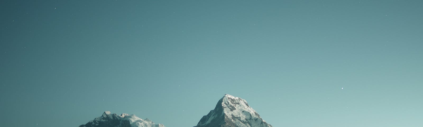 Polymath Nexus - Medium
