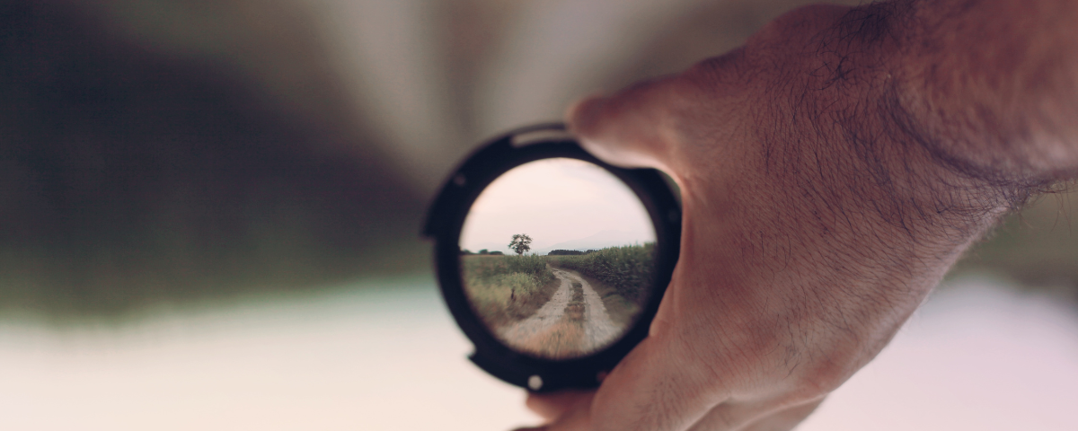 Focus Bear – Medium