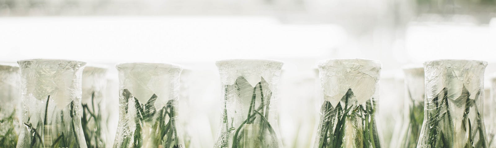 Beautiful Biology - Medium