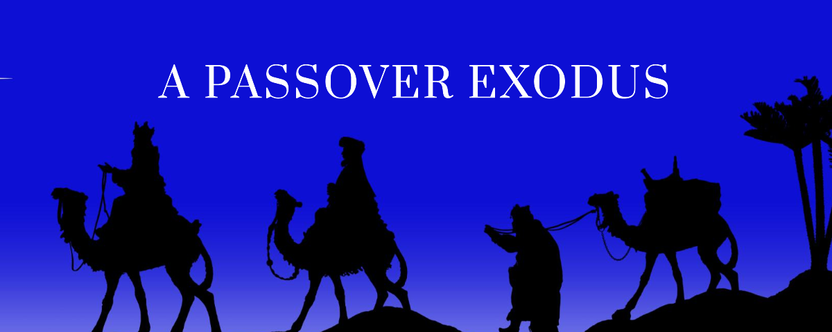 Passover Stories - Medium