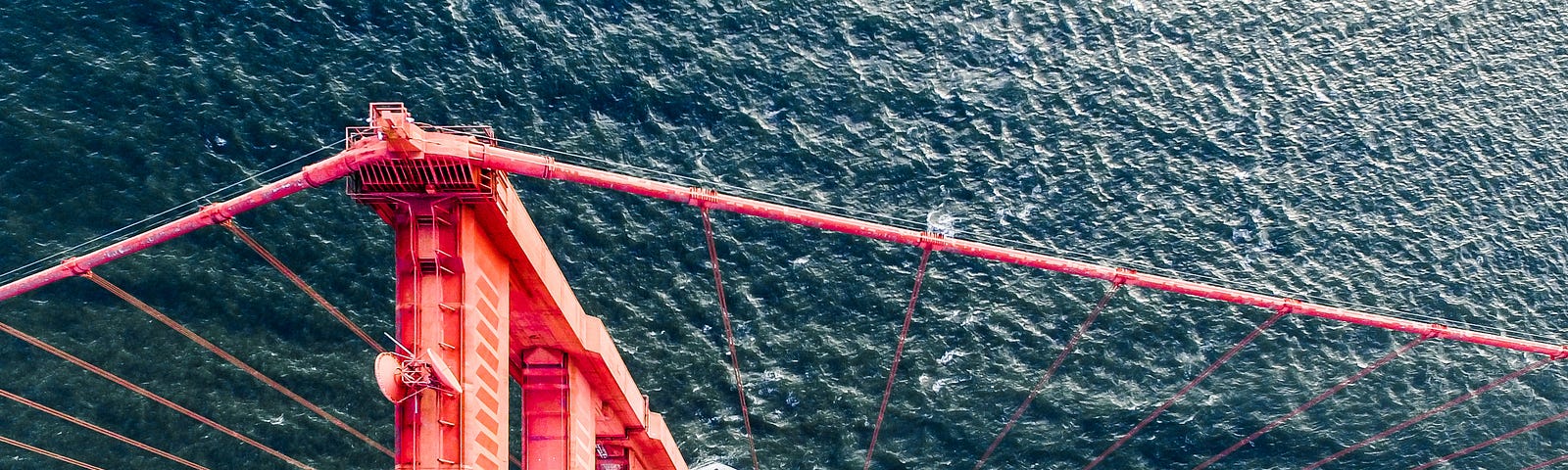 bridgealliance - Medium