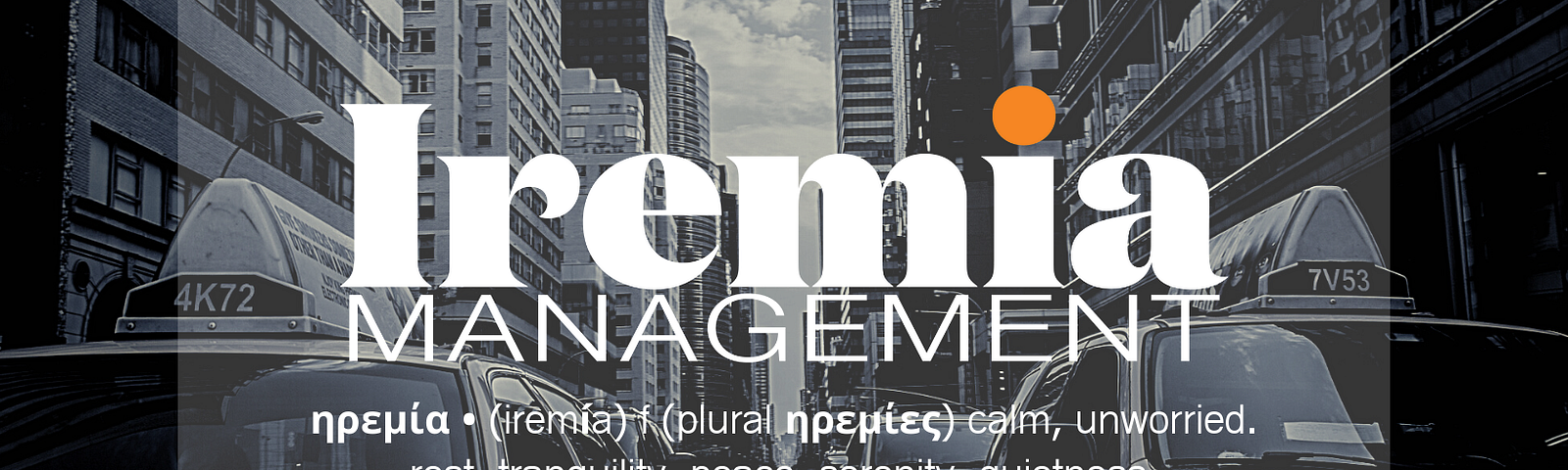 Iremia Insights - Medium