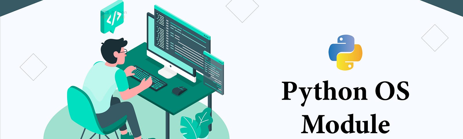 PythonFlood