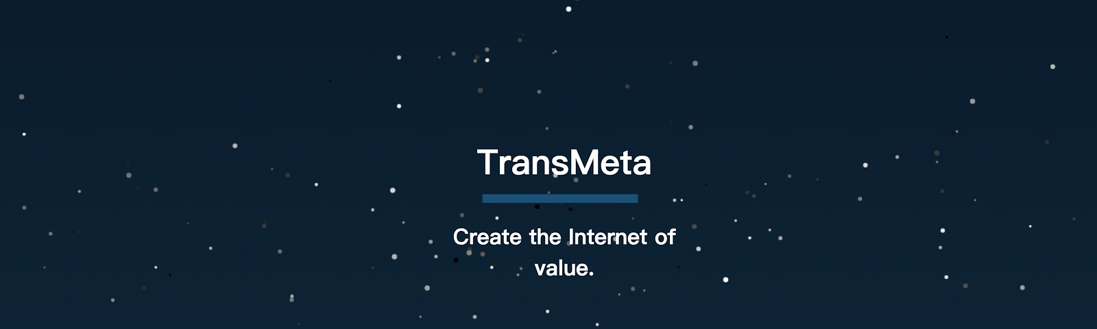 TransMeta - Medium