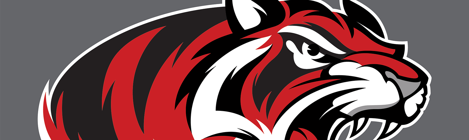 Braswell High School – Denton ISD – Medium