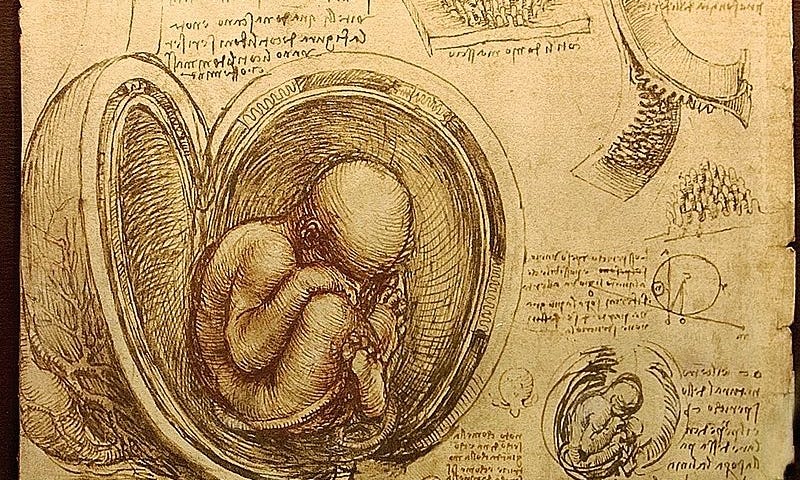 EMBRIOLOGÍA MÉDICA – Medium