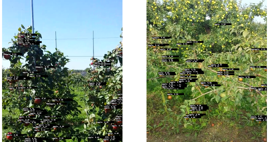 Fruit Detection – Towards Data Science