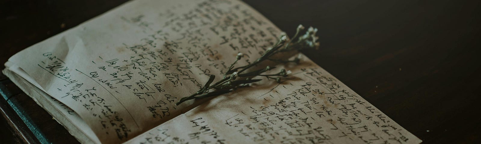 Musings and Memories - Medium