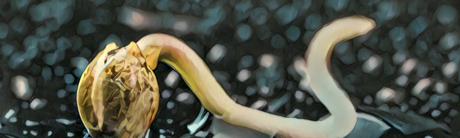 Strainly – Medium