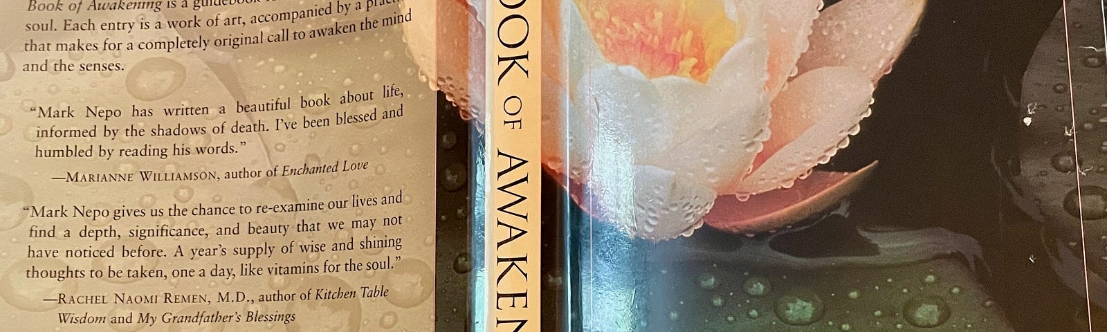 The Conscious Book Review – Medium
