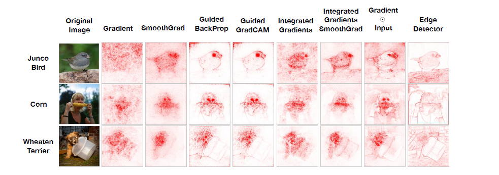 Saliency Map Analytics Vidhya Medium