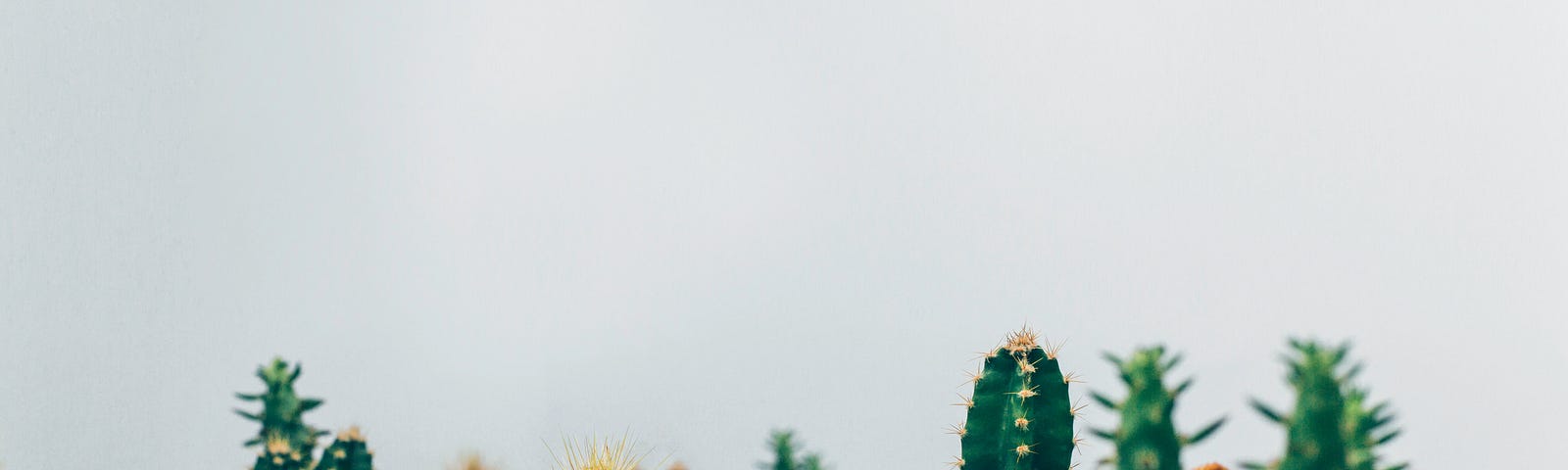 Frontend Development With JS – Medium