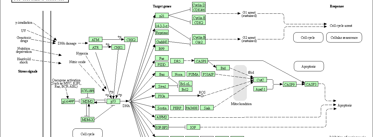 Archive of stories published by [Bioinformatics]Pathway analysis for ...