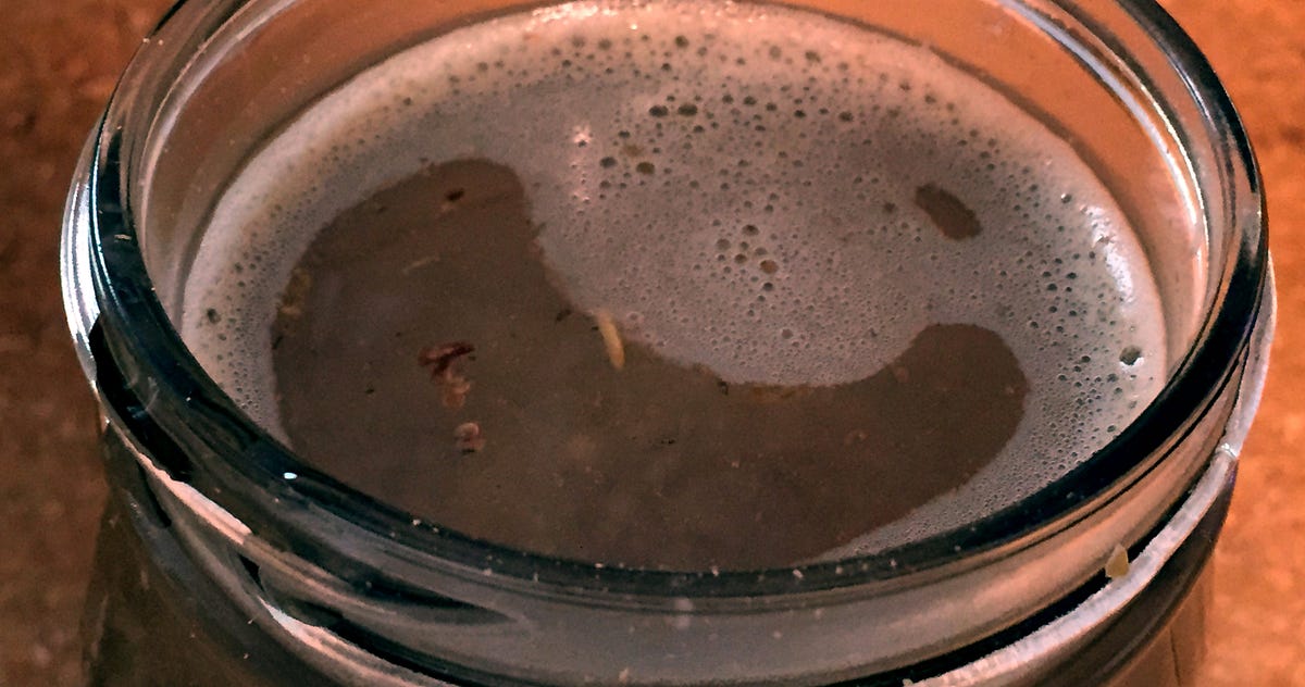 The Literal Magic of Fermentation – Invironment – Medium
