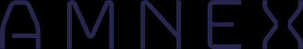 About Amnex Infotechnologies – Medium