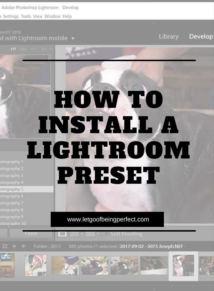 A Beginner's Guide on How to Install Presets for Lightroom
