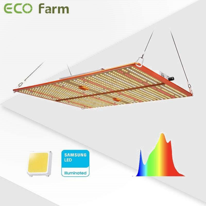 How to Choose the Best Quantum Board Lighting for Healthy Plant Growth ...