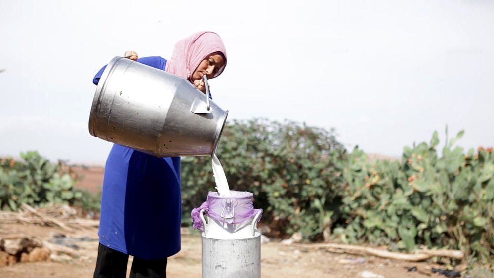 Report cites Danone’s actions toward ‘zero hunger’ – Danone – Medium