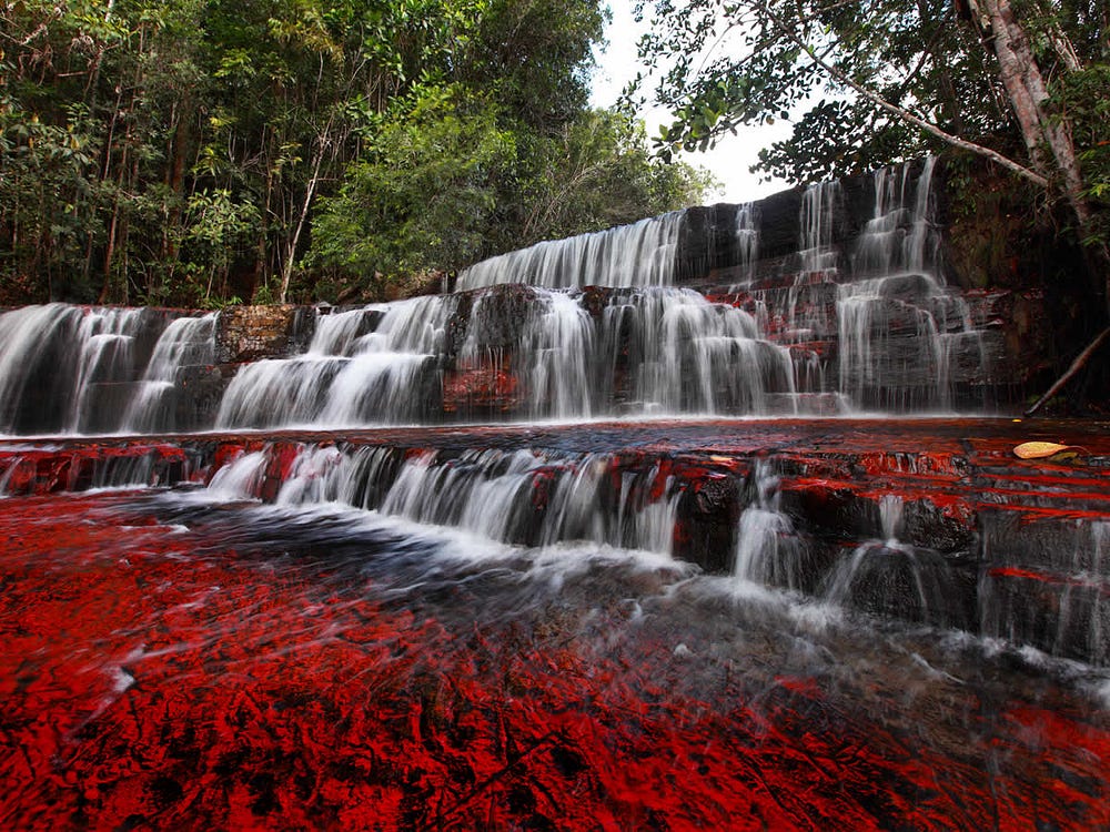 Los 16 paisajes mas hermosos de venezuela – Bryant Padron – Medium
