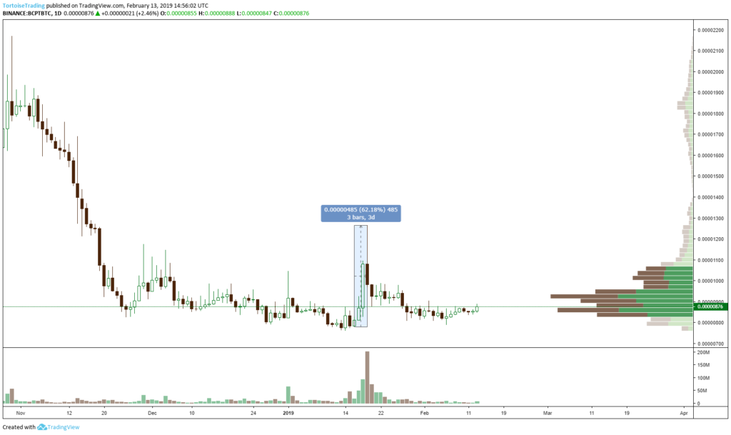 How to Navigate the Crypto Market Cycle | Bitcoin Insider