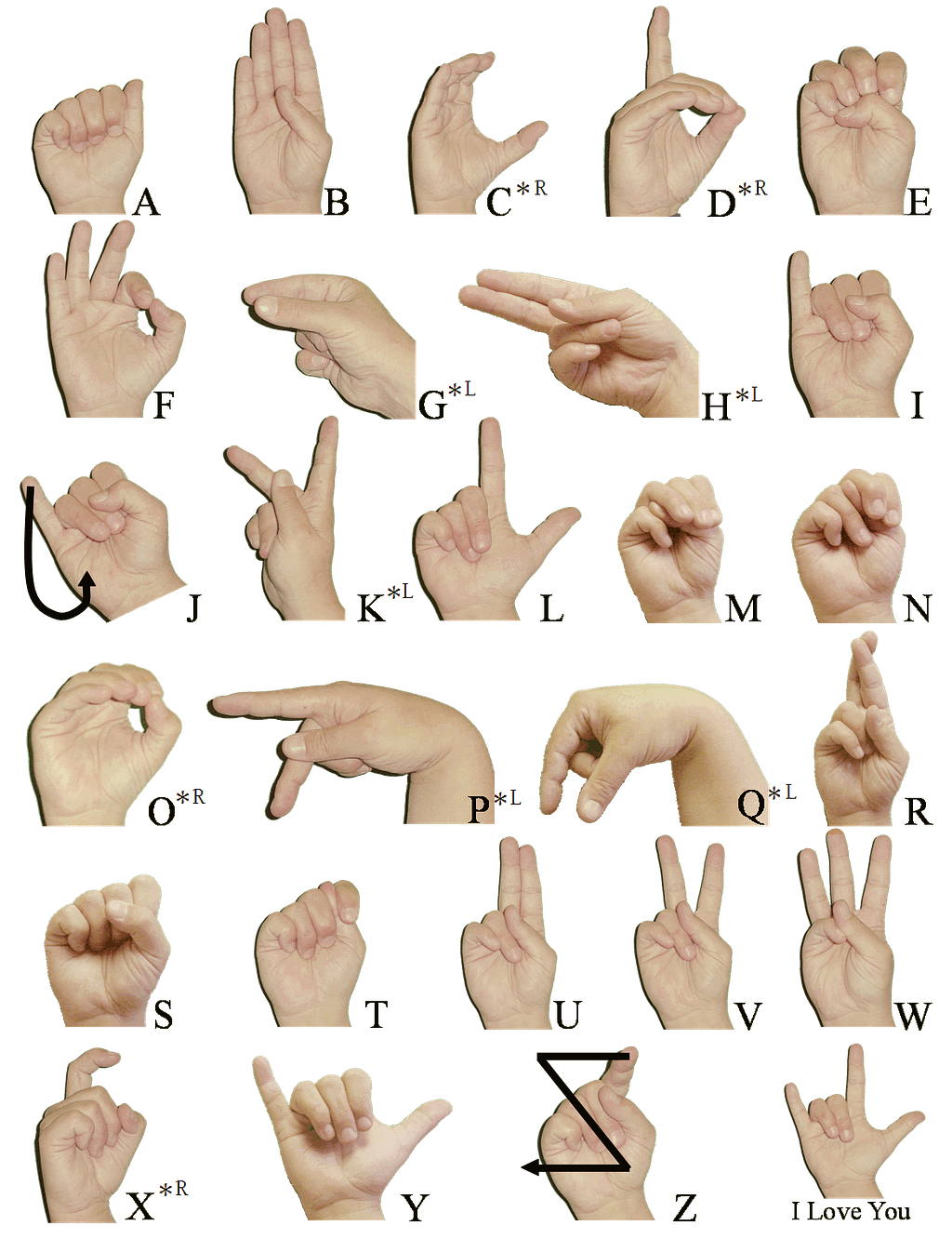Weekend Project Sign Language And Static gesture Recognition Using
