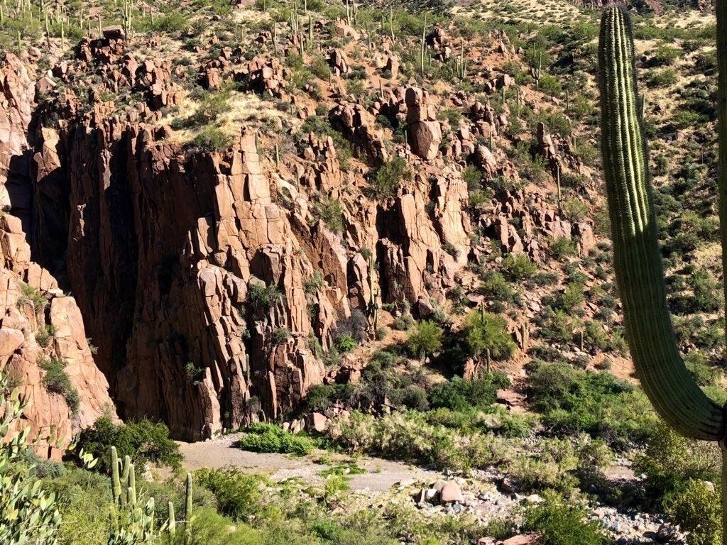 During the harsh summer months in Arizona, my friends and I try to take advantage of the ...