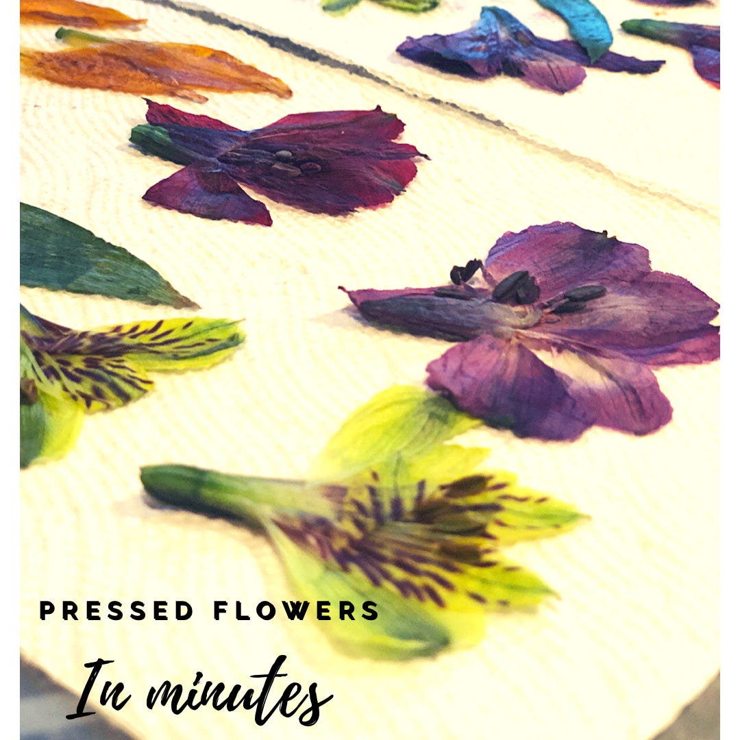 knowing-how-to-press-flowers-quickly-is-valuable-for-an-one-looking-to