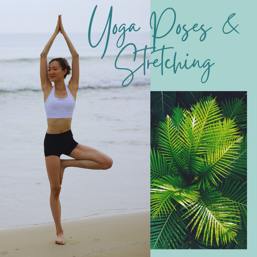 PLUS: Tips on how to do your own body assessment, how to do stretching for maximum benefits, and ...