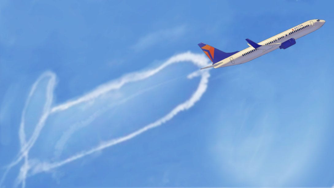 My sister and I were at LAX trying to check our luggage when the Delta ...