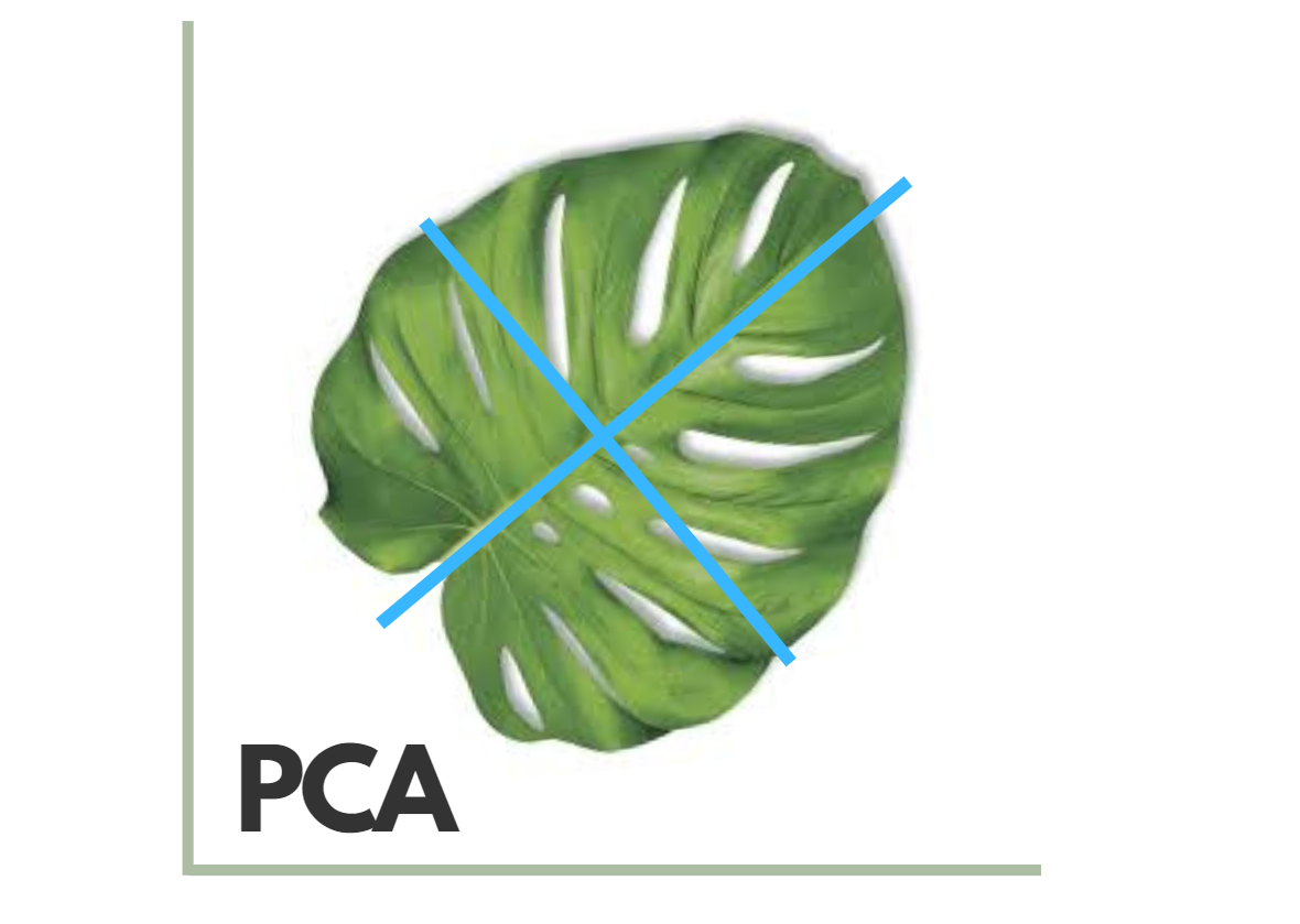 In this article we’ll build some intuition about dimensionality reduction and PCA on a simple ...