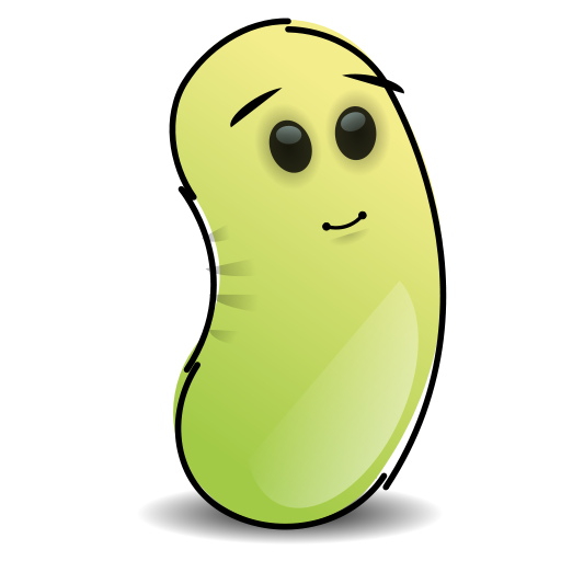 lima bean – Medium