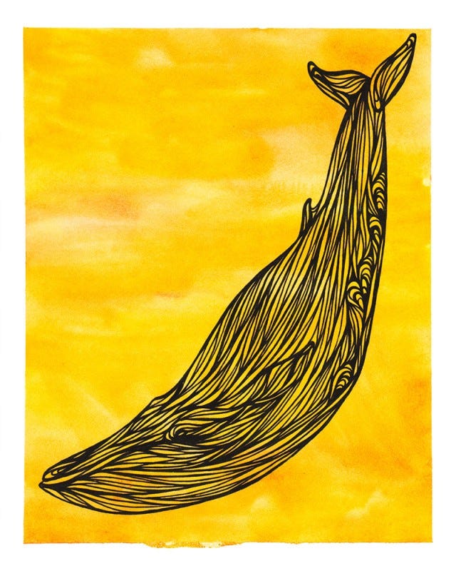 A Yellow Whale – Medium