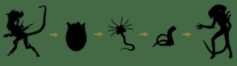 Xenomorphs: How a Universe of Alien Biology Continues to Evolve Today