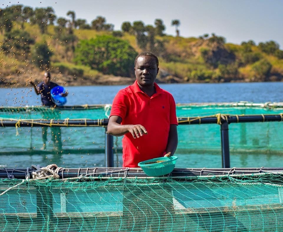 Rio Fish: Creating Economic Opportunities through Aquaculture ...