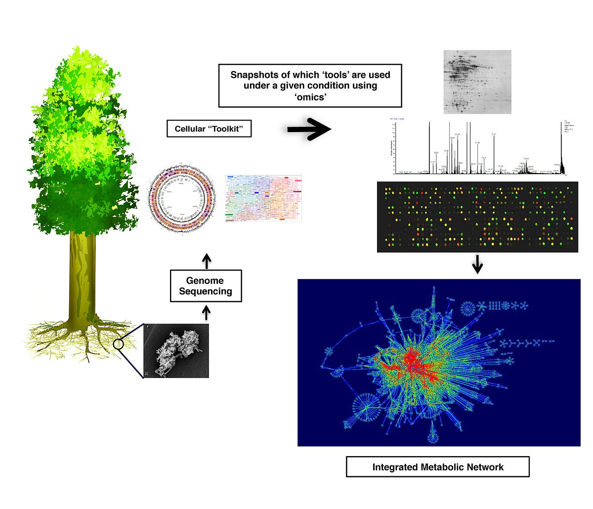 Science for All – Medium