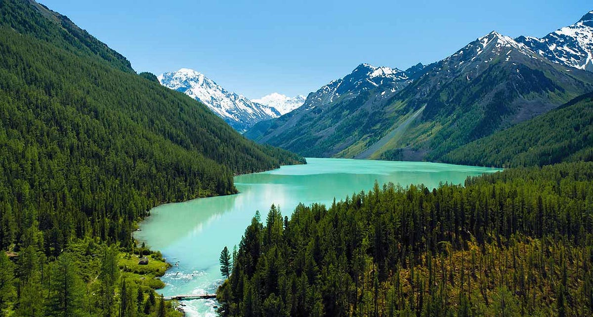 The Ancient Tropical Forests of Siberia – Siberia Today – Medium