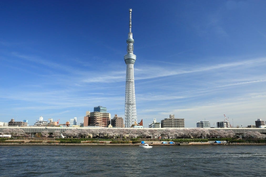 Sumida Park Cherry Blossoms 2019 – Japan Travel Guide -JW Web Magazine