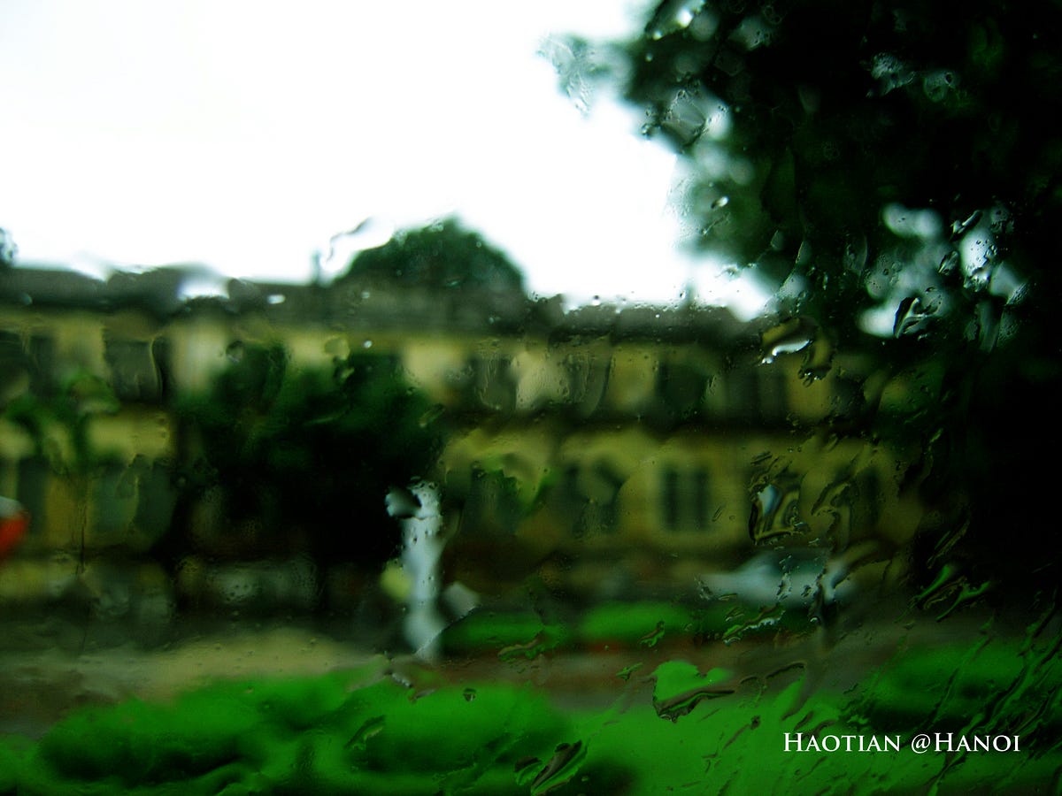 Open the Foggy Window - Medium