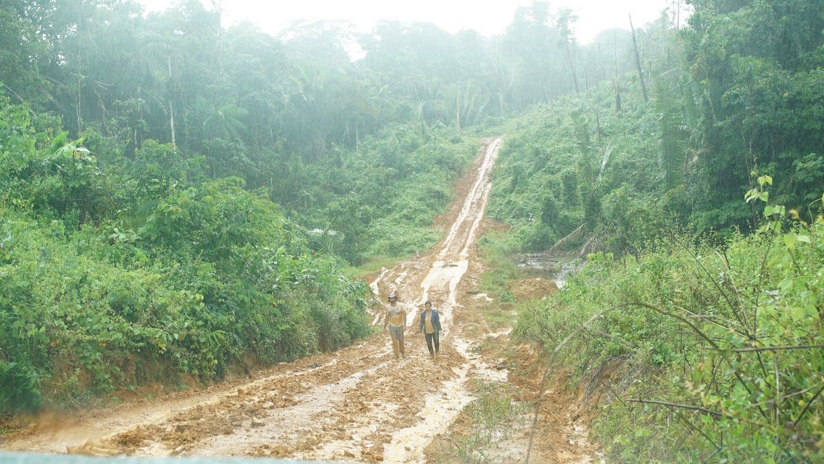 Chasing deforestation through the clouds – Google Earth and Earth ...