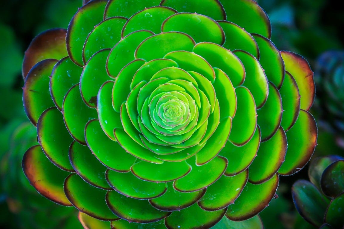 Five Miracles Of Mathematics That Will Unleash Your Creativity