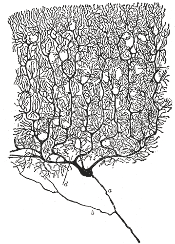 Neural Tribe – Medium