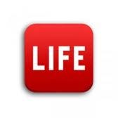 Life Insights - Medium