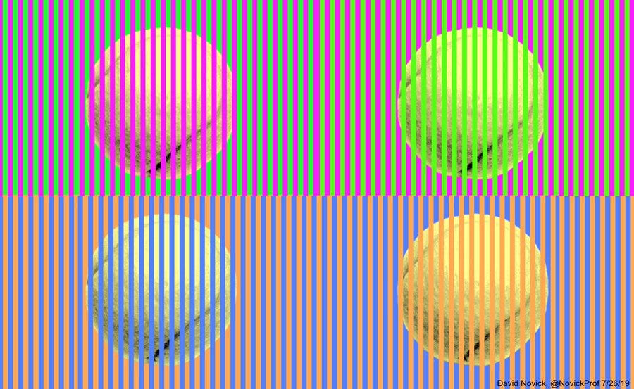 Optical Illusion in Python | How to create Optical Illusion in Python