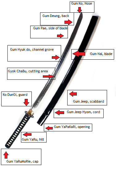HAIDONG GUMDO — TÉCNICAS DE ESPADAS – Andries Viljoen – Medium